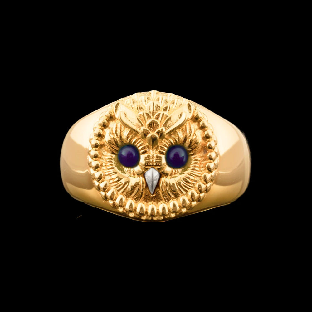 Elegant and Luxurious Signet Pinky Ring | Owl Ring – COPPERTIST.WU