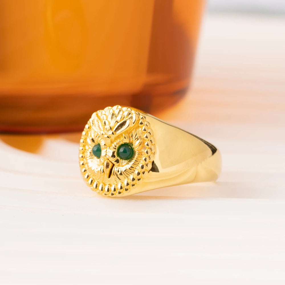 Elegant and Luxurious Signet Pinky Ring | Owl Ring – COPPERTIST.WU