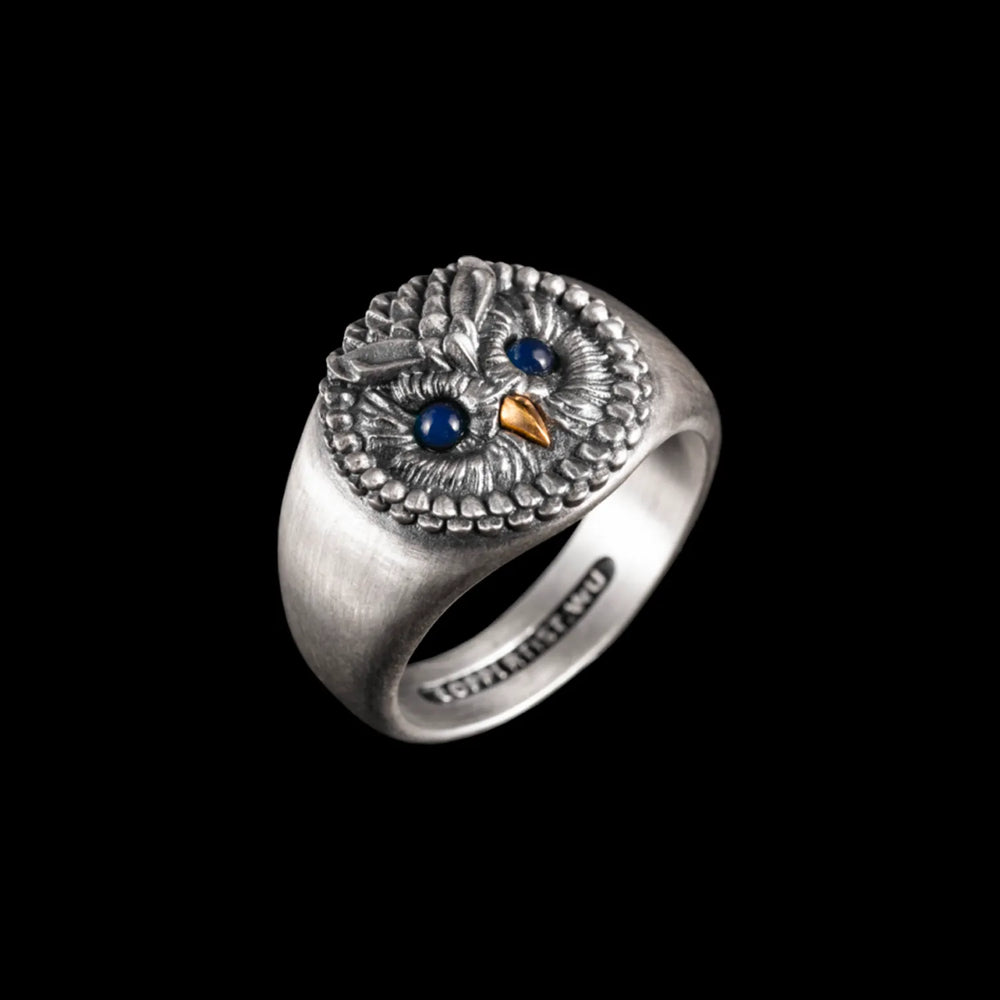 Elegant and Luxurious Signet Pinky Ring | Owl Ring – COPPERTIST.WU